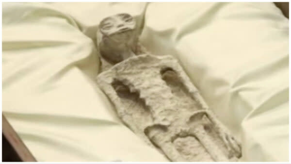 Las ‘momias extraterrestres de Nazca’: Una farsa elaborada con huesos ...